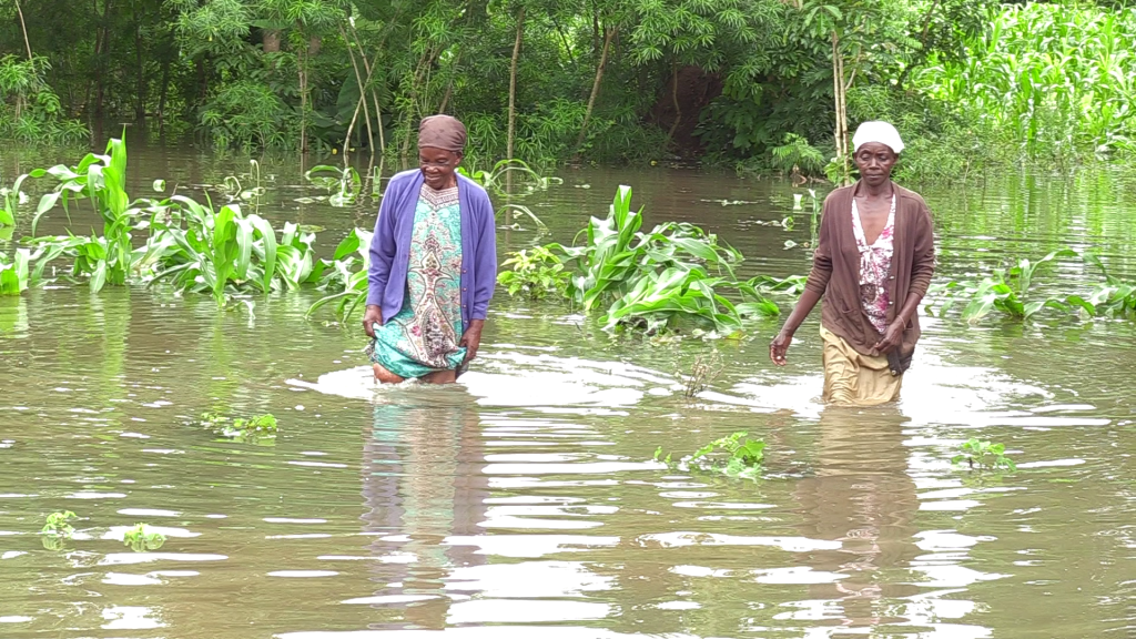 More agony as floods wreck havoc in Busia - KENYA TELEVISION MEDIA NEWS